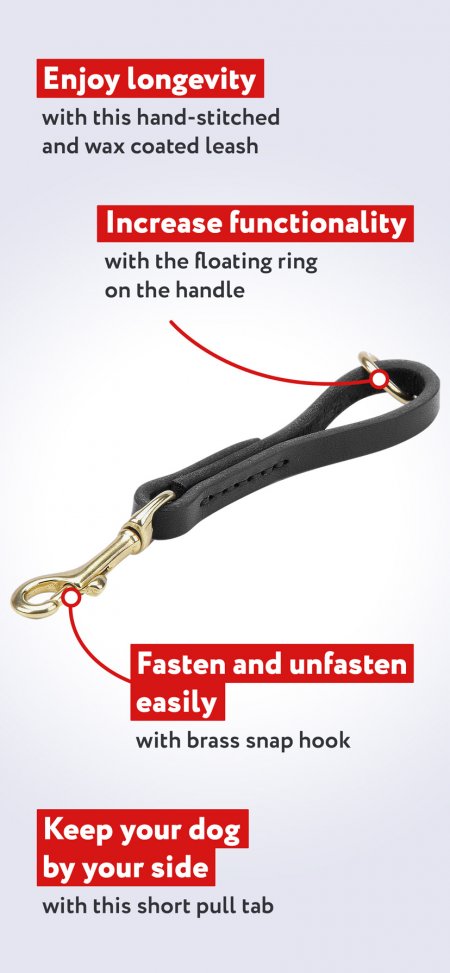 Dependable Easy Fast Grab Dog 【Leash】 : Schutzhund Training Equipment ...